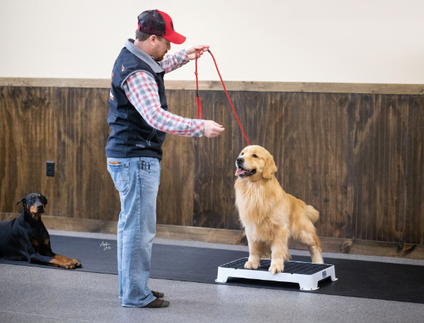 Training - Fireside Pet Lodge